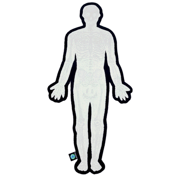 X-RAY RUG – RUGSODA